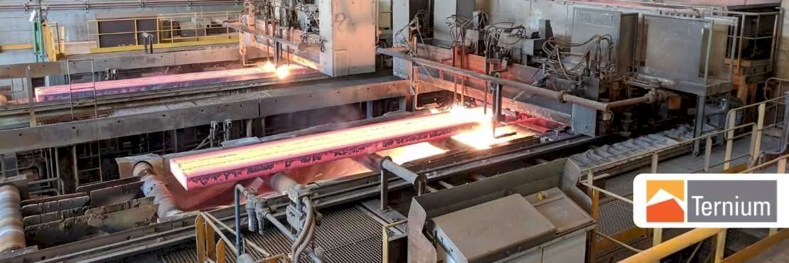 Cassotis I Integrated optimization of Ternium Argentina plant